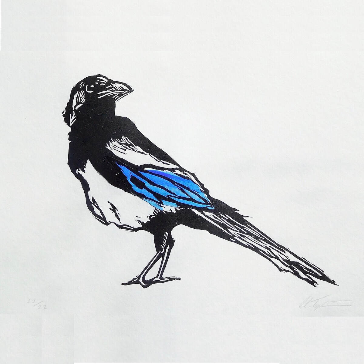 Magpie Linocut and Chine-Collé Print | Lotte Tophill